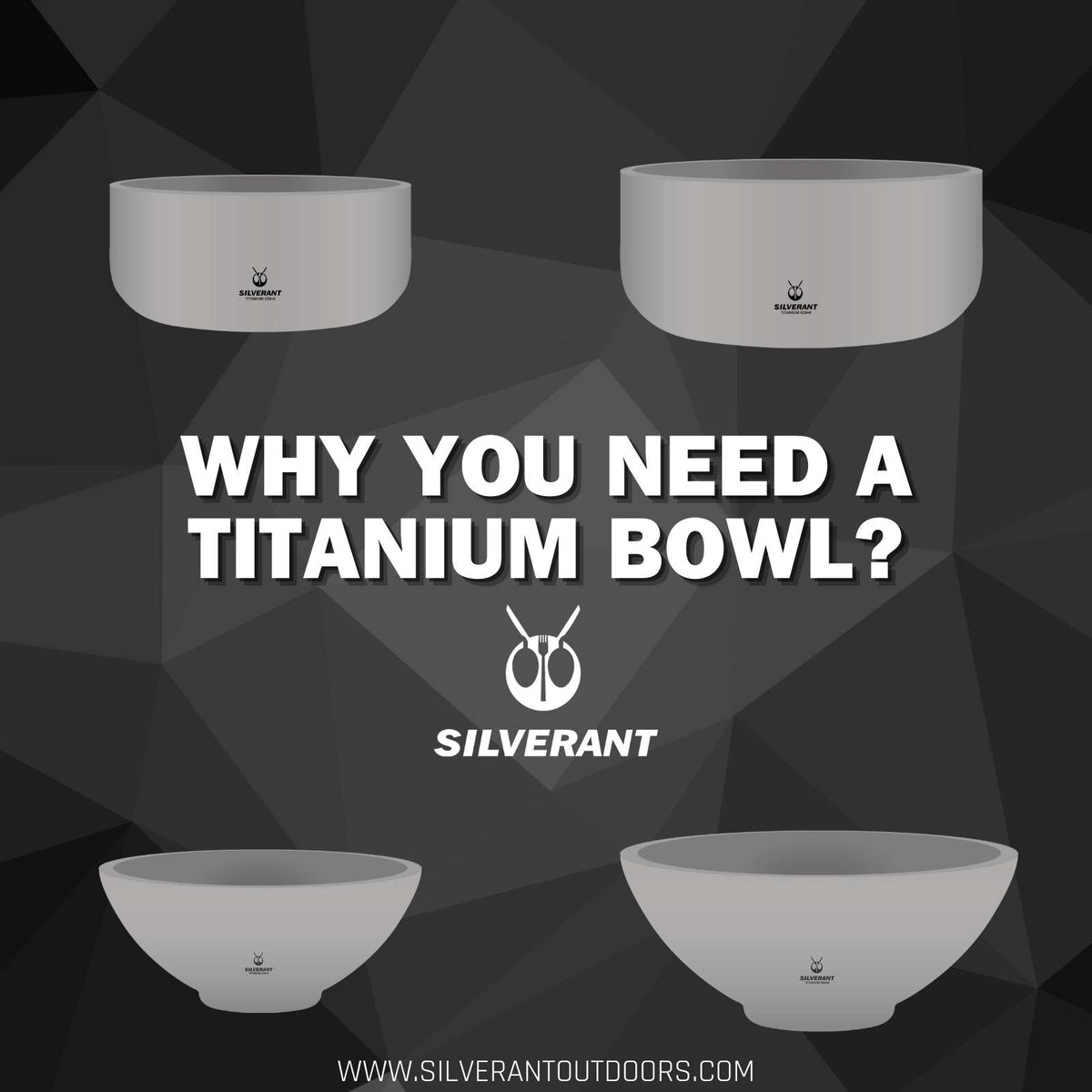 Why You Need A Titanium Bowl? | SilverAnt
