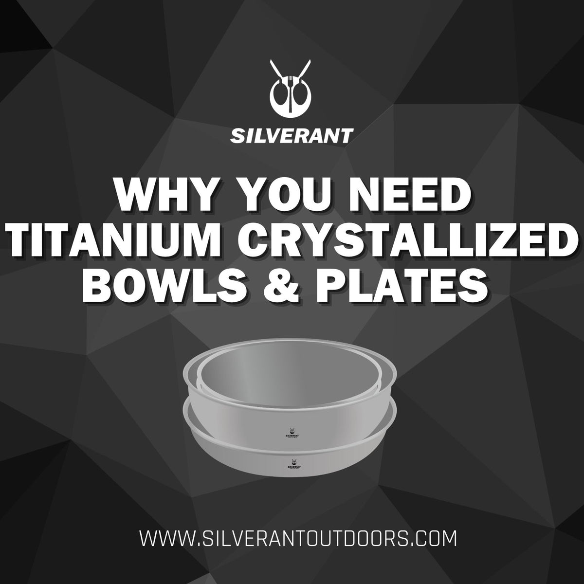 Why You Need Titanium Crystallized Bowls & Plates in 2024 | SilverAnt